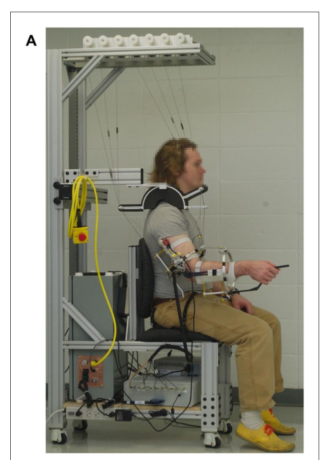 ROAR Lab publishes a stroke study with a cable-driven arm exoskeleton ...